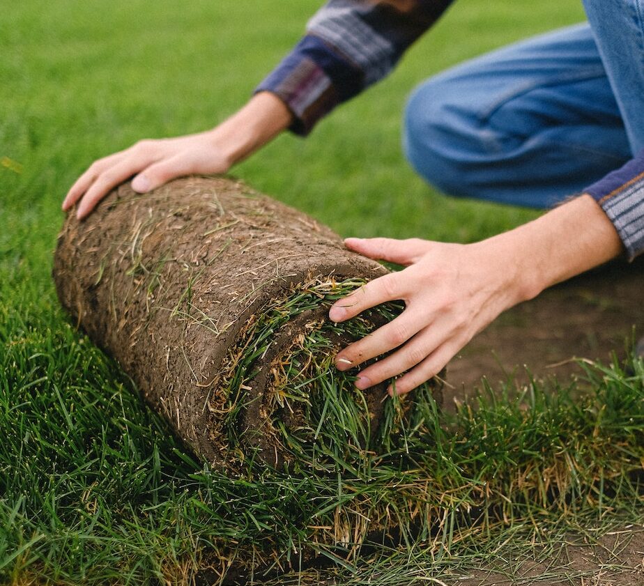 Envision Pro Tips – DIY Sod Guide - Envision Lawn and Tree